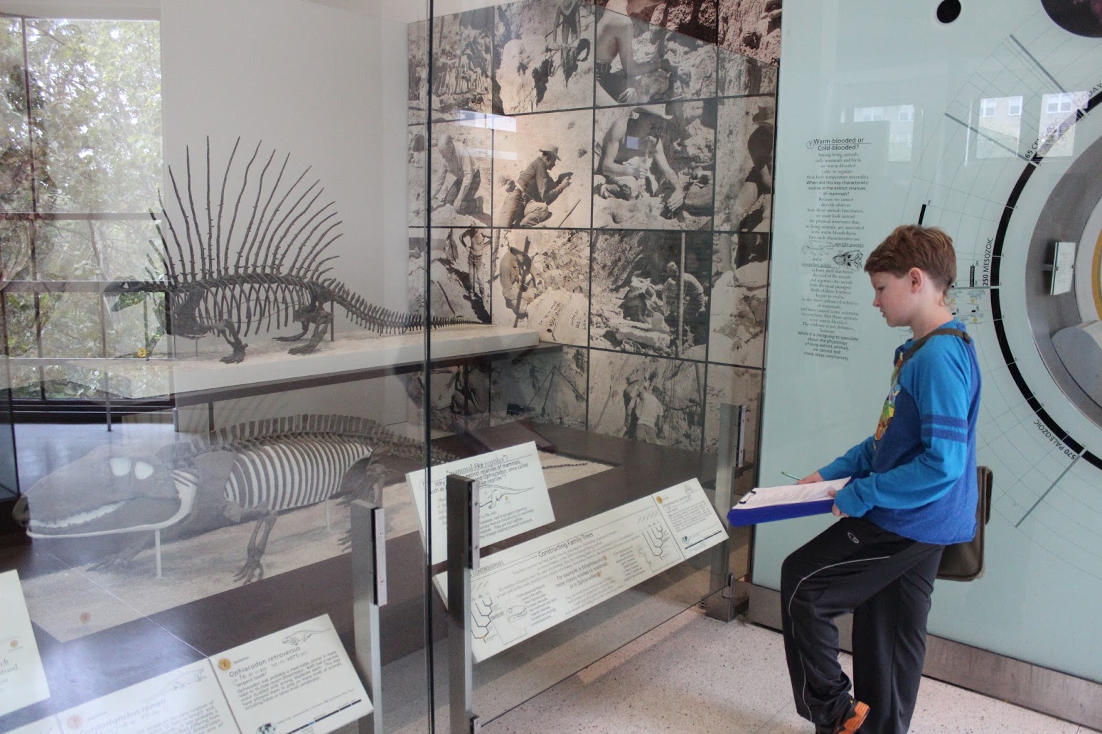 Dottie's Homeschool Universe: Wrapping up Prehistory/Evolution: Field ...