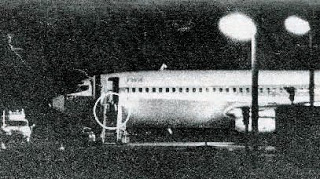 Collana eXoterica COSMO FRUTTARIANO: Raffaele Minichiello: il ...