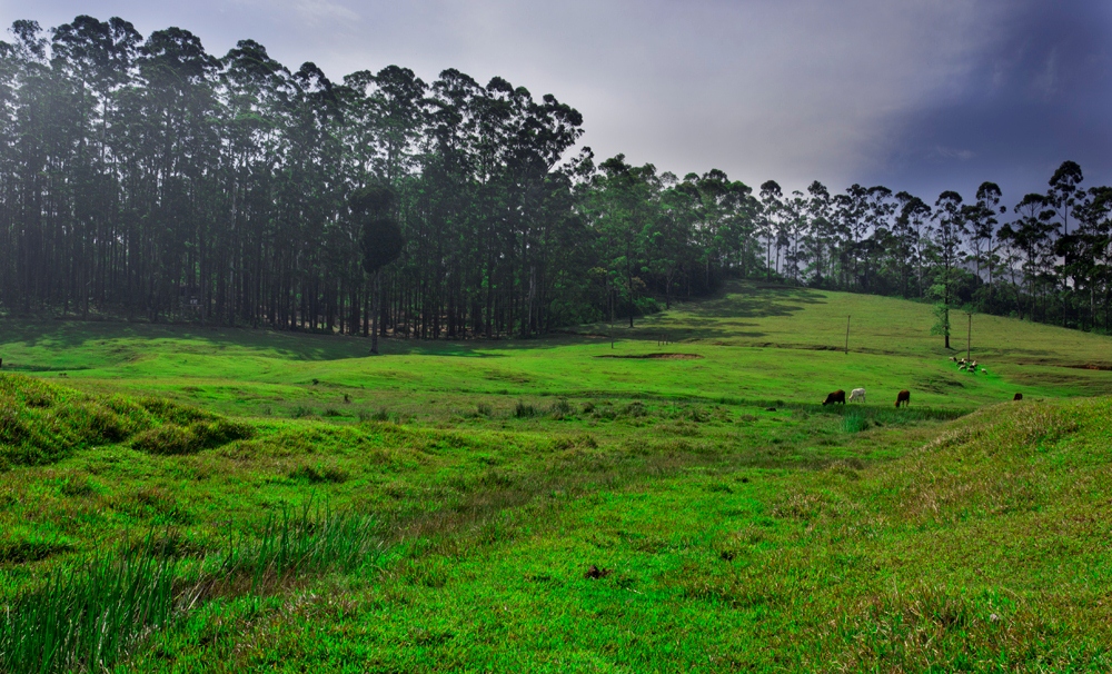 Tamilnadu Tourism: Mini Golf Course, Kakkachi, Manjolai Hills