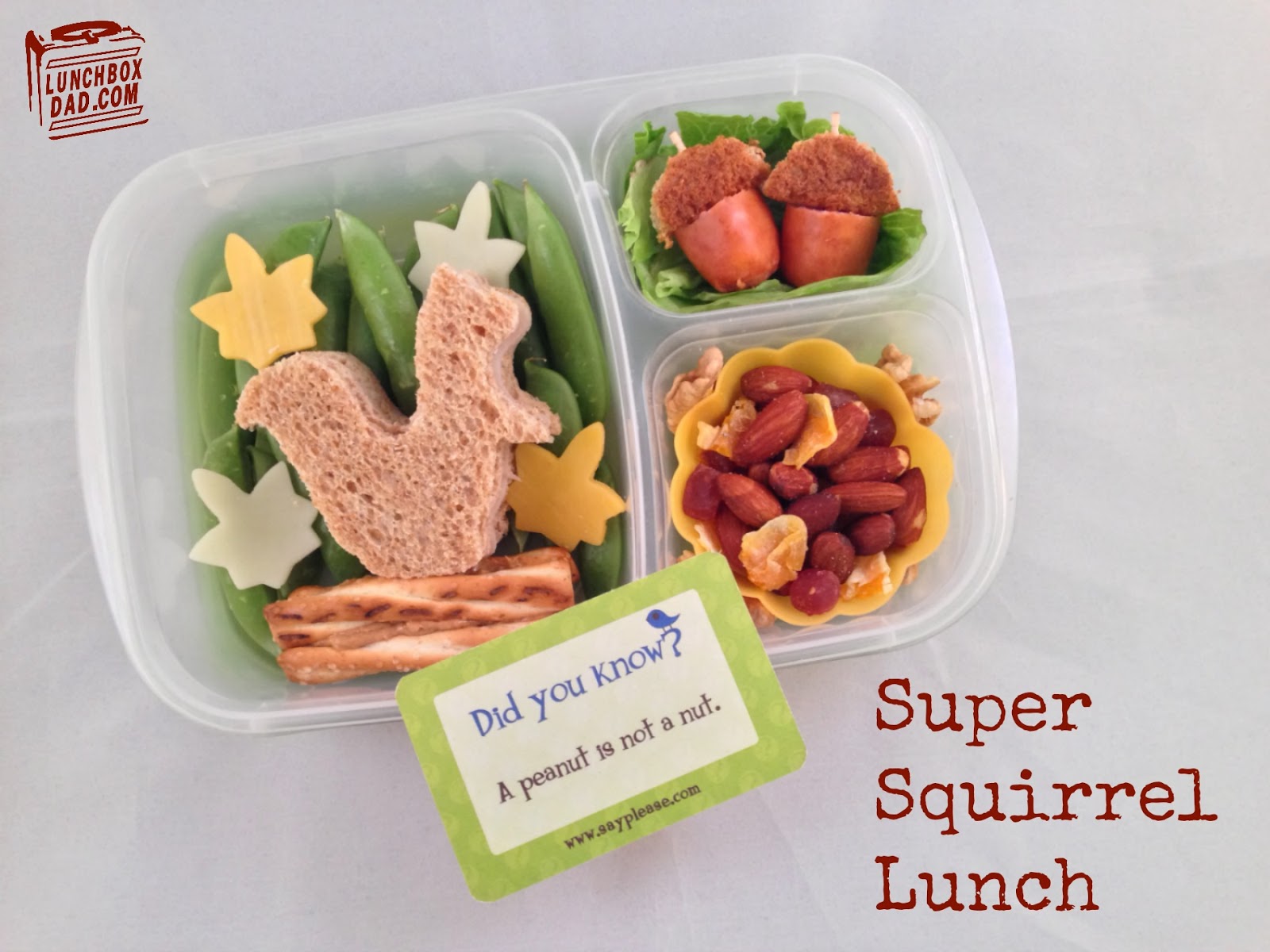 Lunchbox Dad: Super Squirrel Bento Lunch