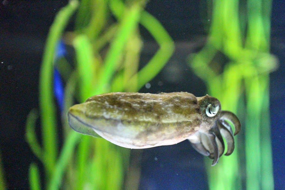 Exhibit Galleries Blog