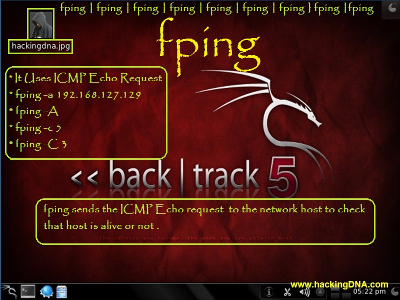 Hackingdna Learn Fping On Backtrack 5