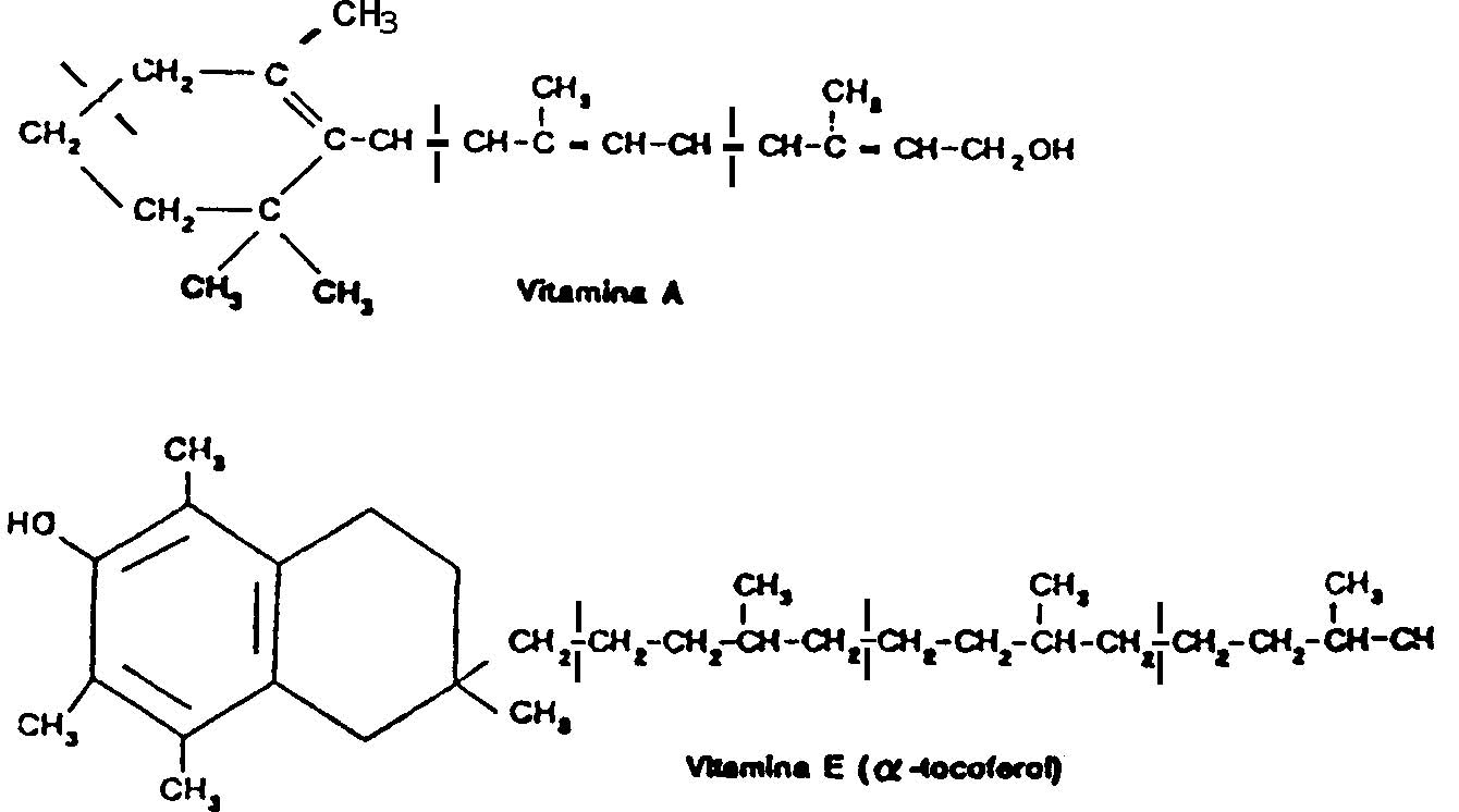 El Aroma de las Plantas: Sustancias Aleloquímicas: 7- Monoterpenos.
