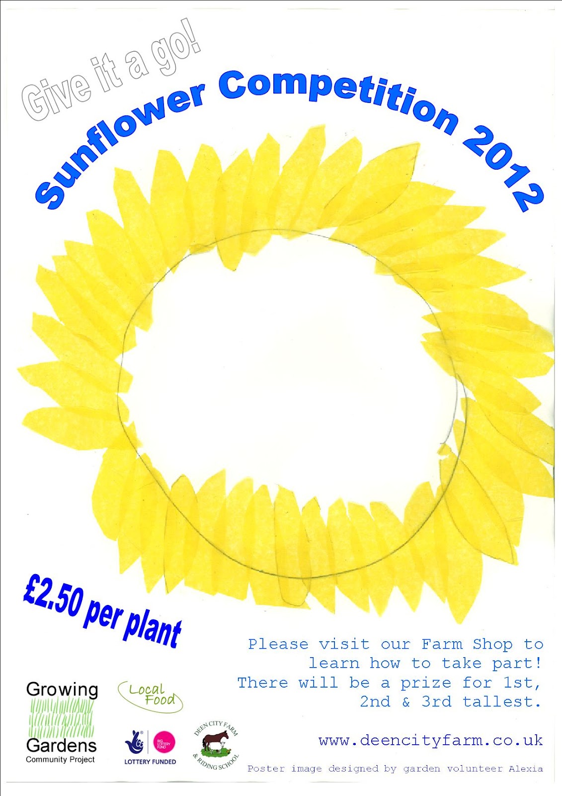 Growing Gardens Project: Sunflower Competition 2012... has officially ...