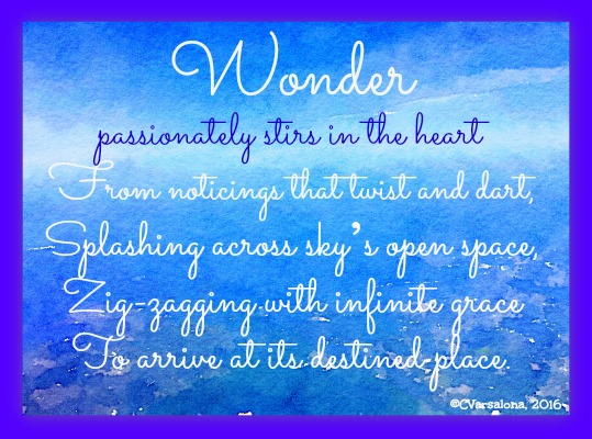 Beyond LiteracyLink: Celebrate As a Wonder Lead Ambassador