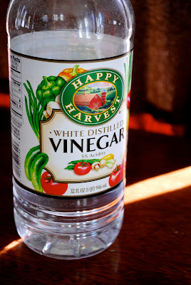 Homemade Dishwasher Rinse Aid & Carpet Spot Cleaner | MKE