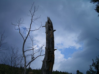 The 8 Most Common Fears - PsychTronics