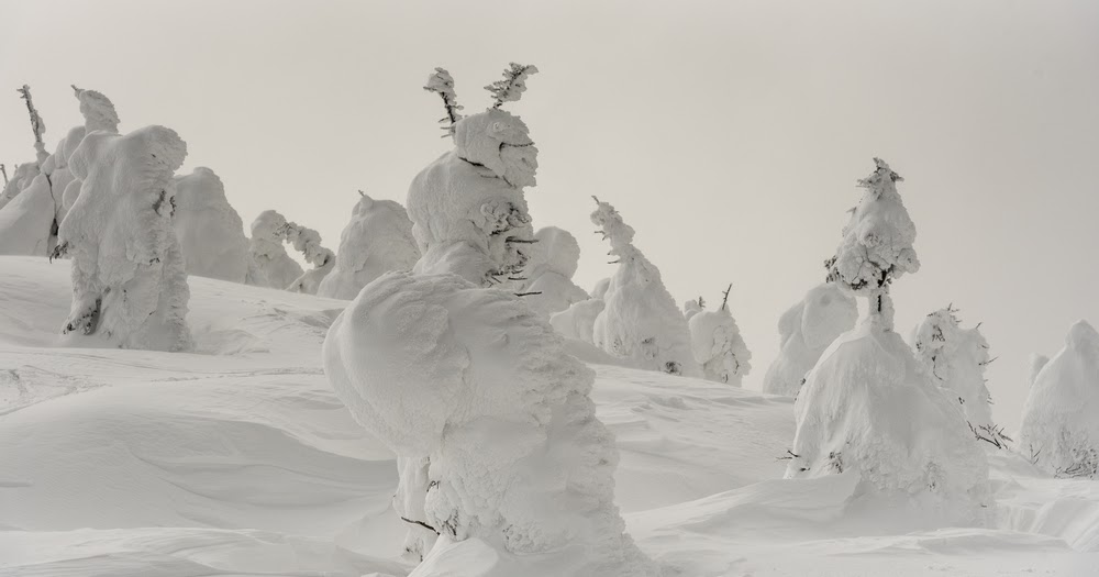 Juhyo, The Snow Monsters of Mount Zao | Amusing Planet