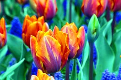 Design Principles A _ 5198: Week 6_Task 2_ Examples of colour theory in ...