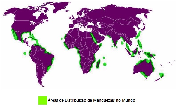 BLOG DO PROFESSOR MARCIANO DANTAS: OS MANGUEZAIS: BERÇO DA VIDA MARINHA