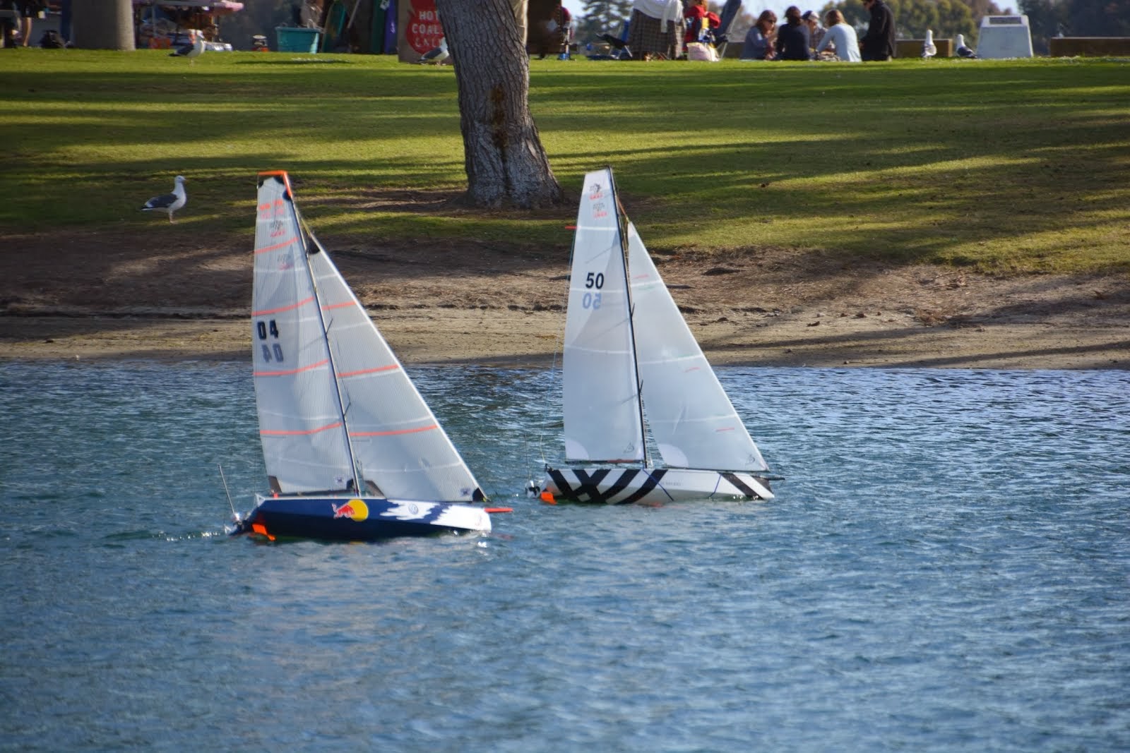 Beckwith Racing Yachts