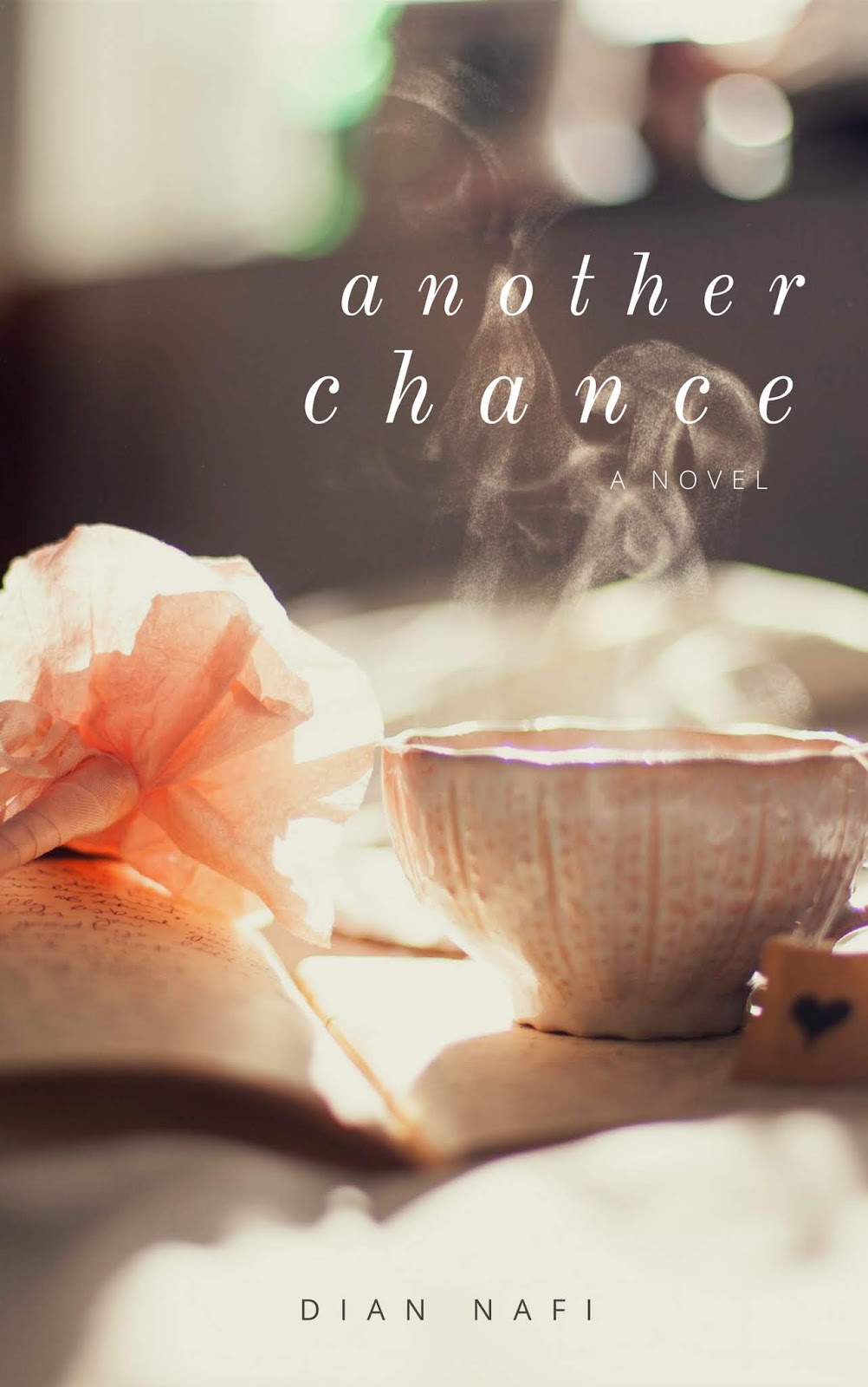 Novel Another Chance | Hasfa