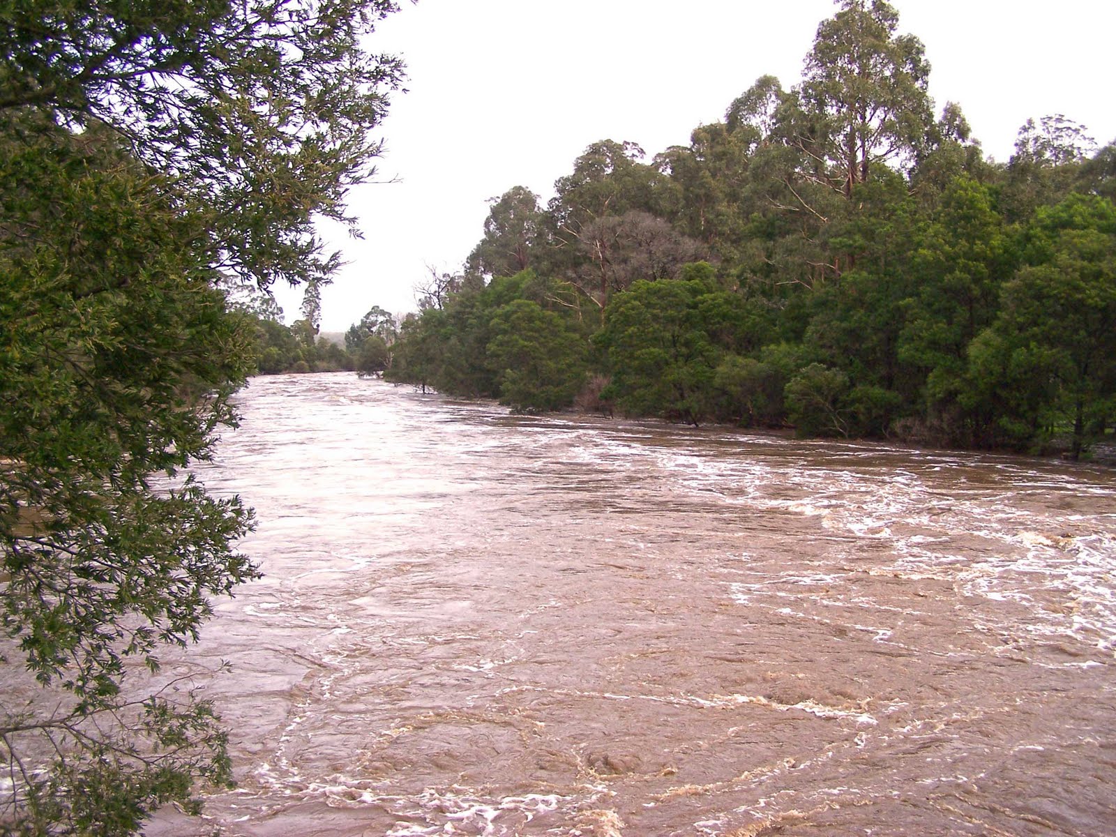 Mookah: Chicks Road Trip to Canberra!