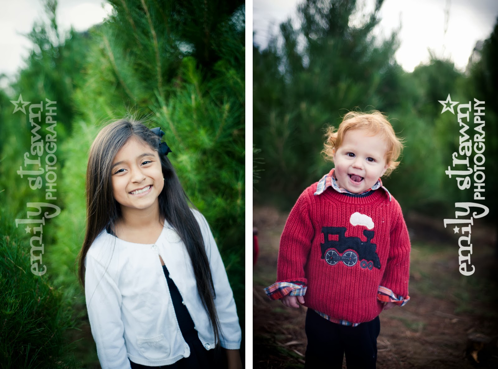 Emily Strawn Photography