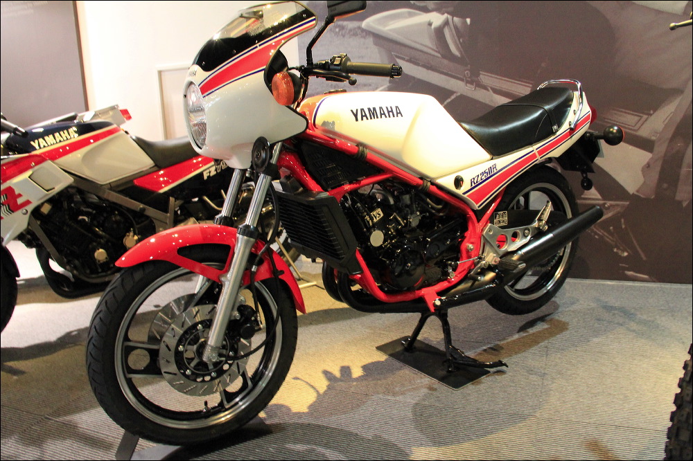 ROAD RIDER: 1983 YAMAHA RZ250R (29L)