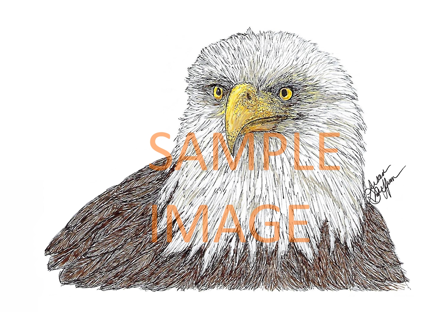 Susan Buffum- Author: Birds