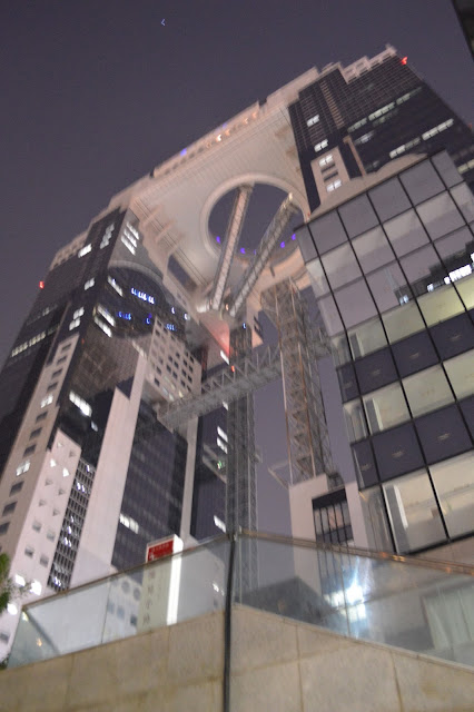 Osaka Aquarium and Umeda Sky Building ~ Jenna in Japan