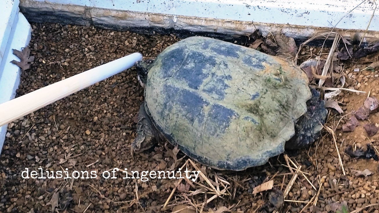 delusions of ingenuity: philosaurus rex: dinosaur hunter