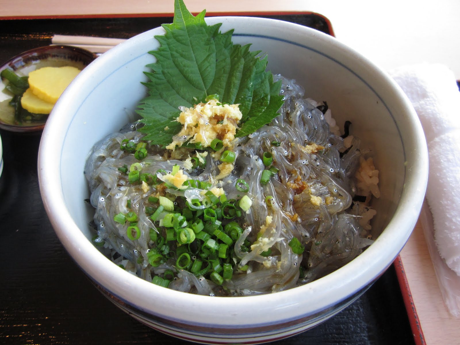 The Japan Chronicles: Fun on Sacred Shores 2: An Enoshima Travel Guide.