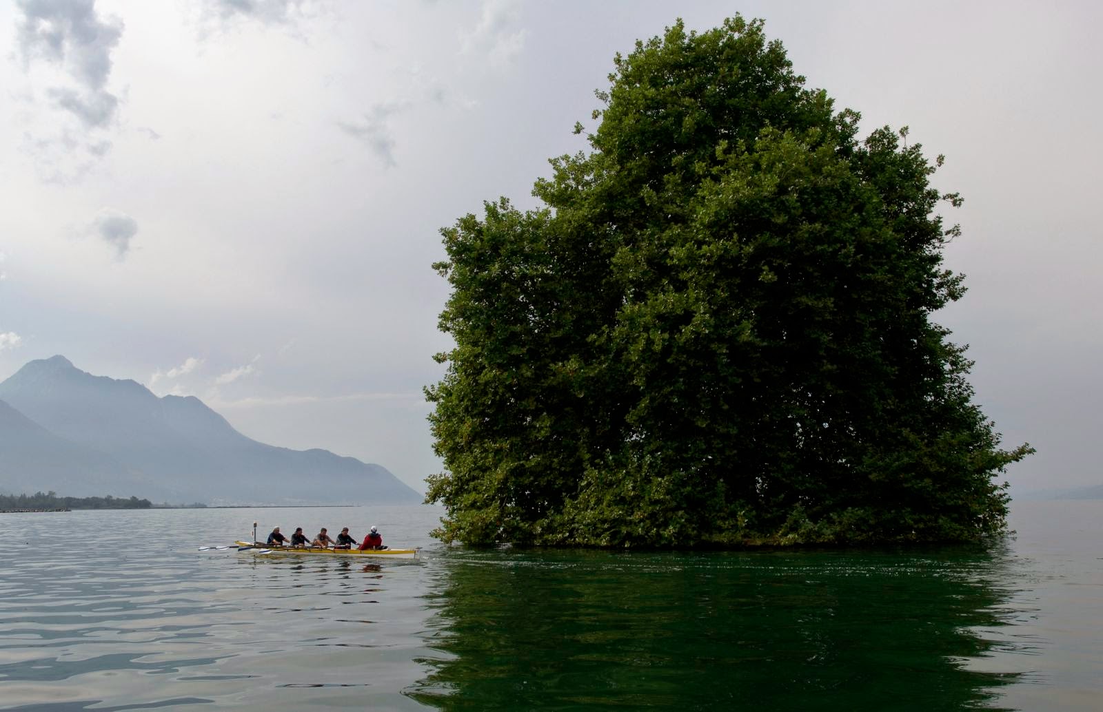 Expedition Rowing: Have you got the long-distance rowing bug?