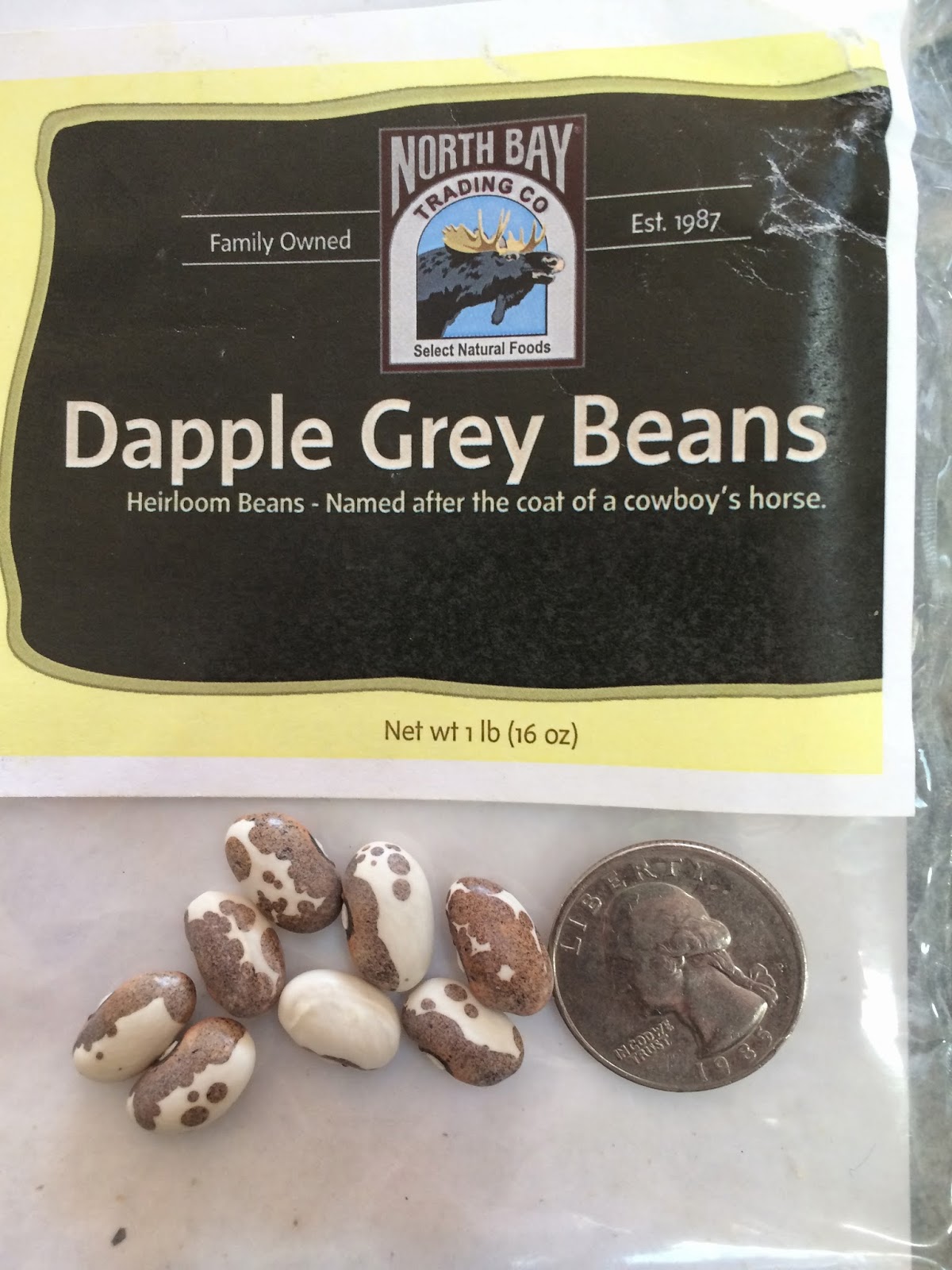 The Legume Diary: Week 13: Dapple Grey Beans