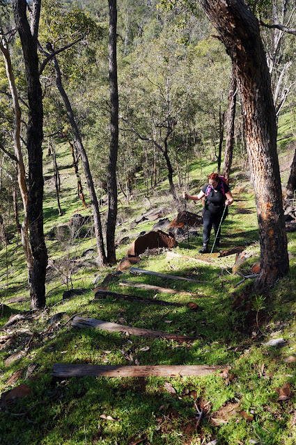 Numbat Track (Paruna Wildlife Sanctuary) ~ The Long Way's Better