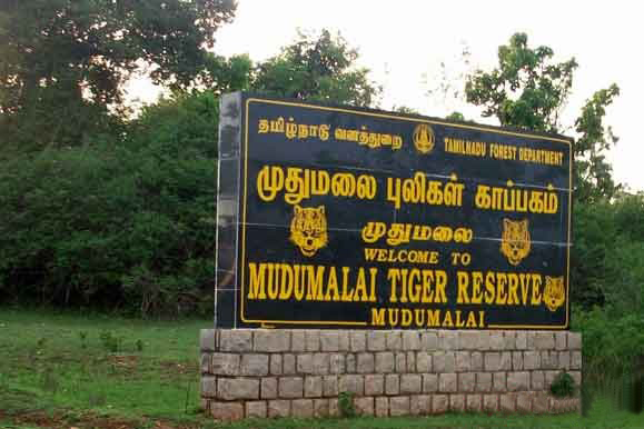Tourist Places in Mudumalai