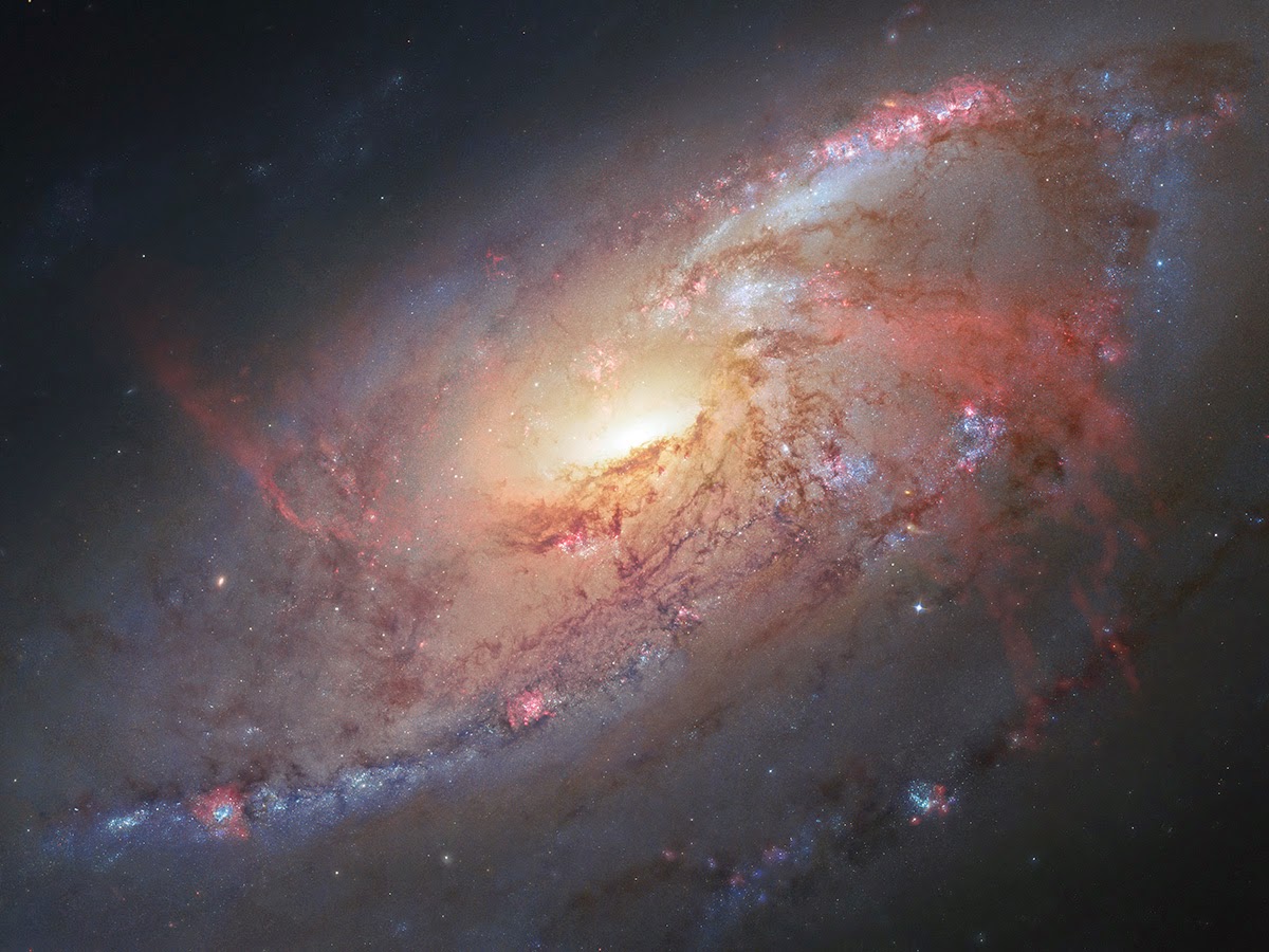 TV with Thinus: Hubble's Cosmic Journey, looking at NASA's famous space ...