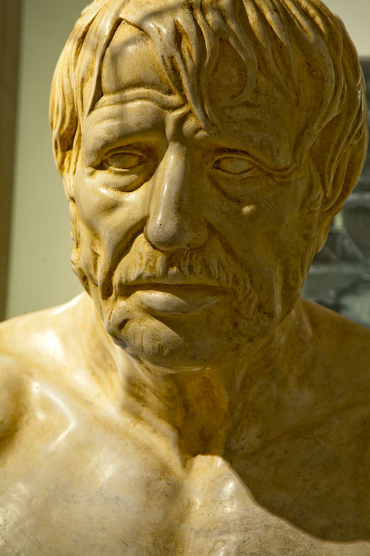 APASIONADOS DEL IMPERIO ROMANO: ¿ QUIÉN ERA LUCIO ANNEO SÉNECA?