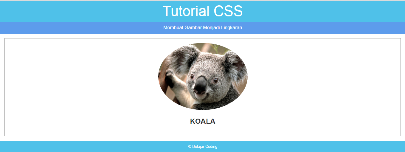 Membuat Gambar Menjadi Lingkaran Dengan CSS - Belajar Coding