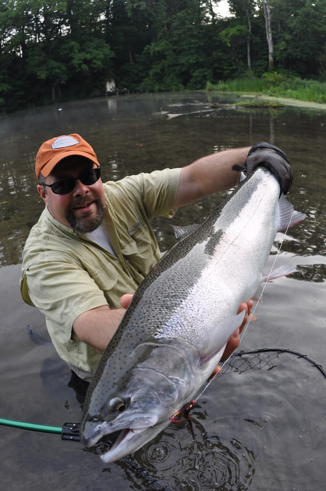 IT'S ALREADY STARTING...THE AMAZING SUMMER RUN SKAMANIA STEELHEAD!