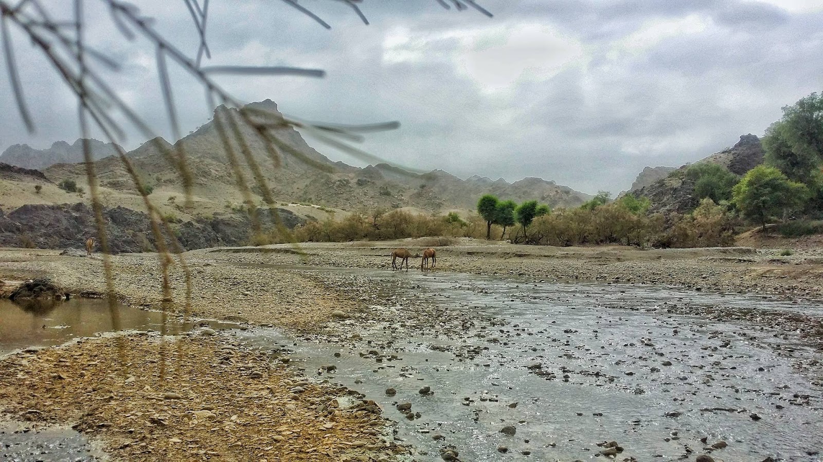 Discover Balochistan: "Kardee" Picnic Point at Uthal, Lasbela, Balochistan