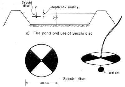 เครื่องมือวัดค่าน้ำเลี้ยงสัตว์: ความโปร่งแสงของน้ำ