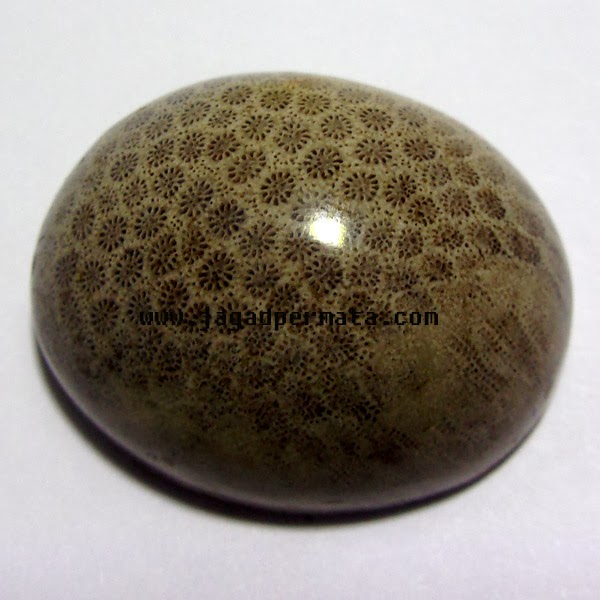 Batu Akik Motif Sarang Tawon -Jual Batu Permata Hobi Permata