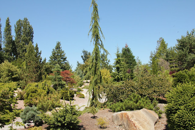 Gardening and Gardens: Seattle's Public Gardens