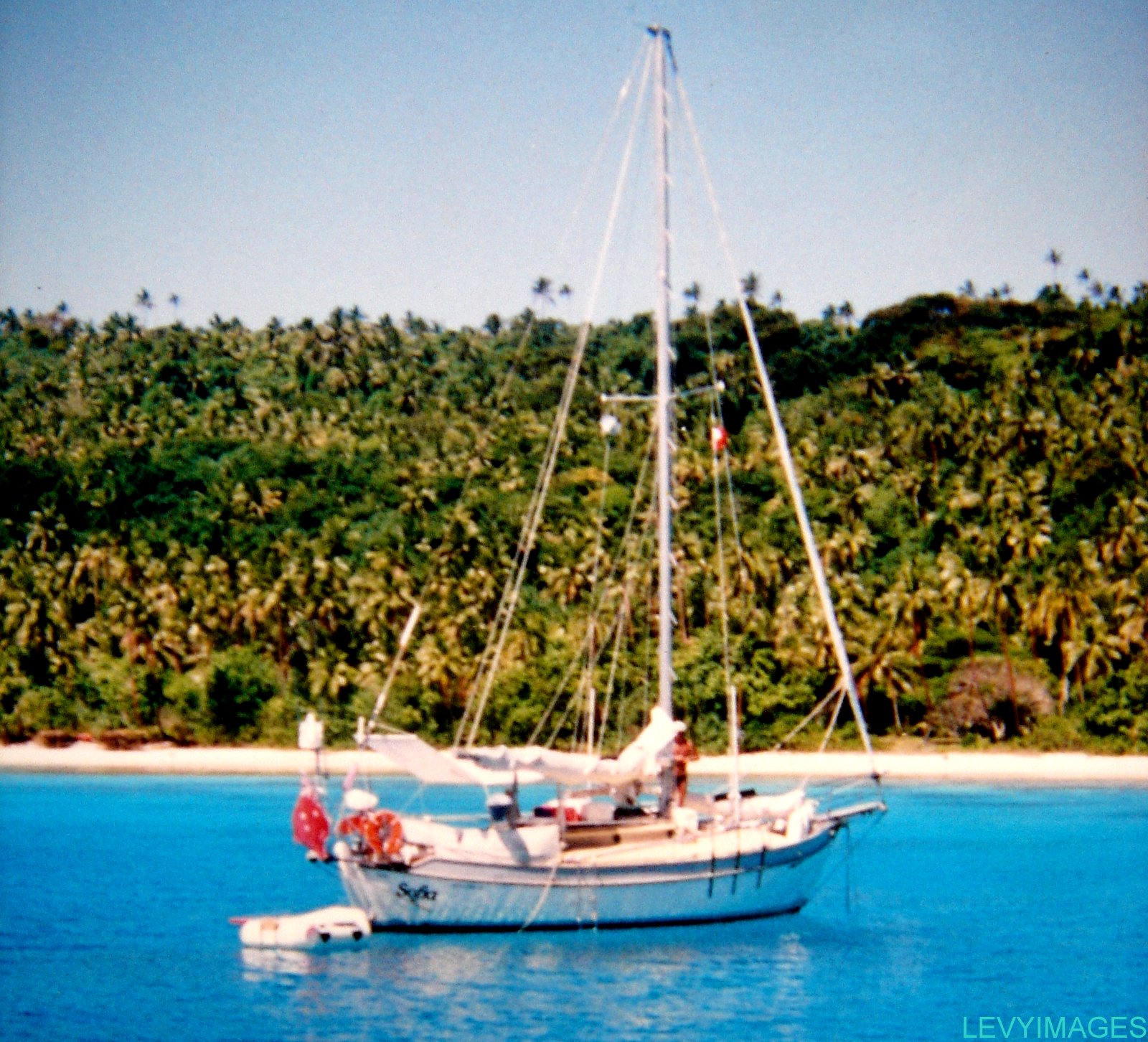 The Flying Tortoise: Whale Watching Delights In The Kingdom Of Tonga...