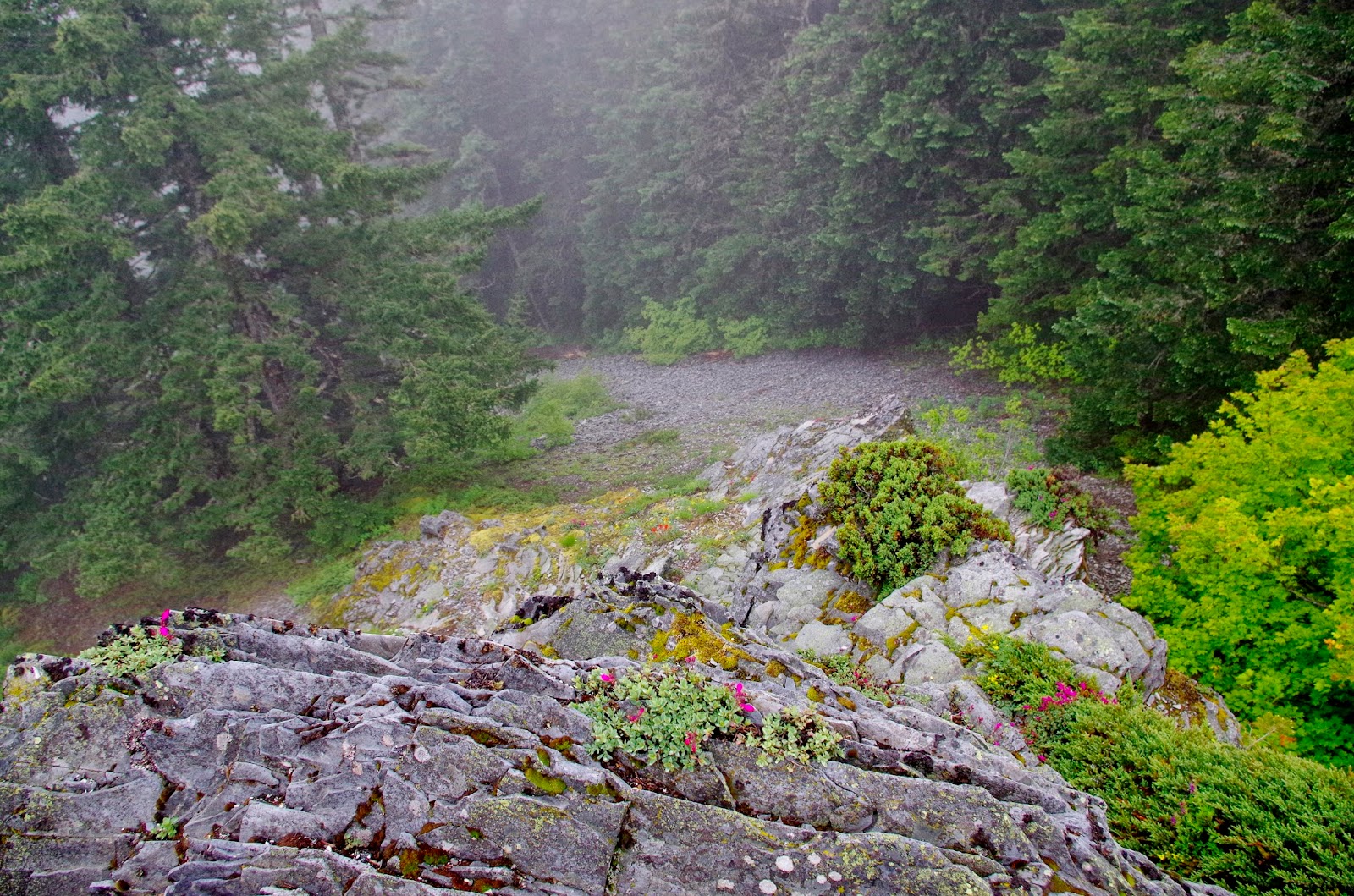 Pacific Northwest Seasons: Hiking Larch Mountain's Crater Loop: Through ...
