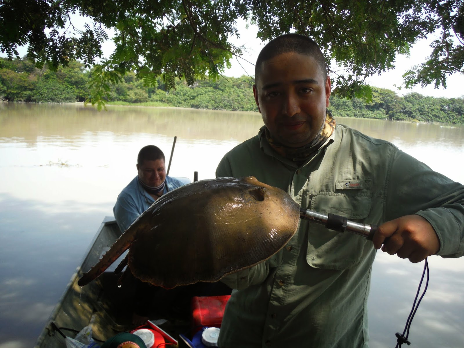 Espacio de Pesca: Pesca de Raya de Rio, Piraña y Pez Ciego en Caño del ...