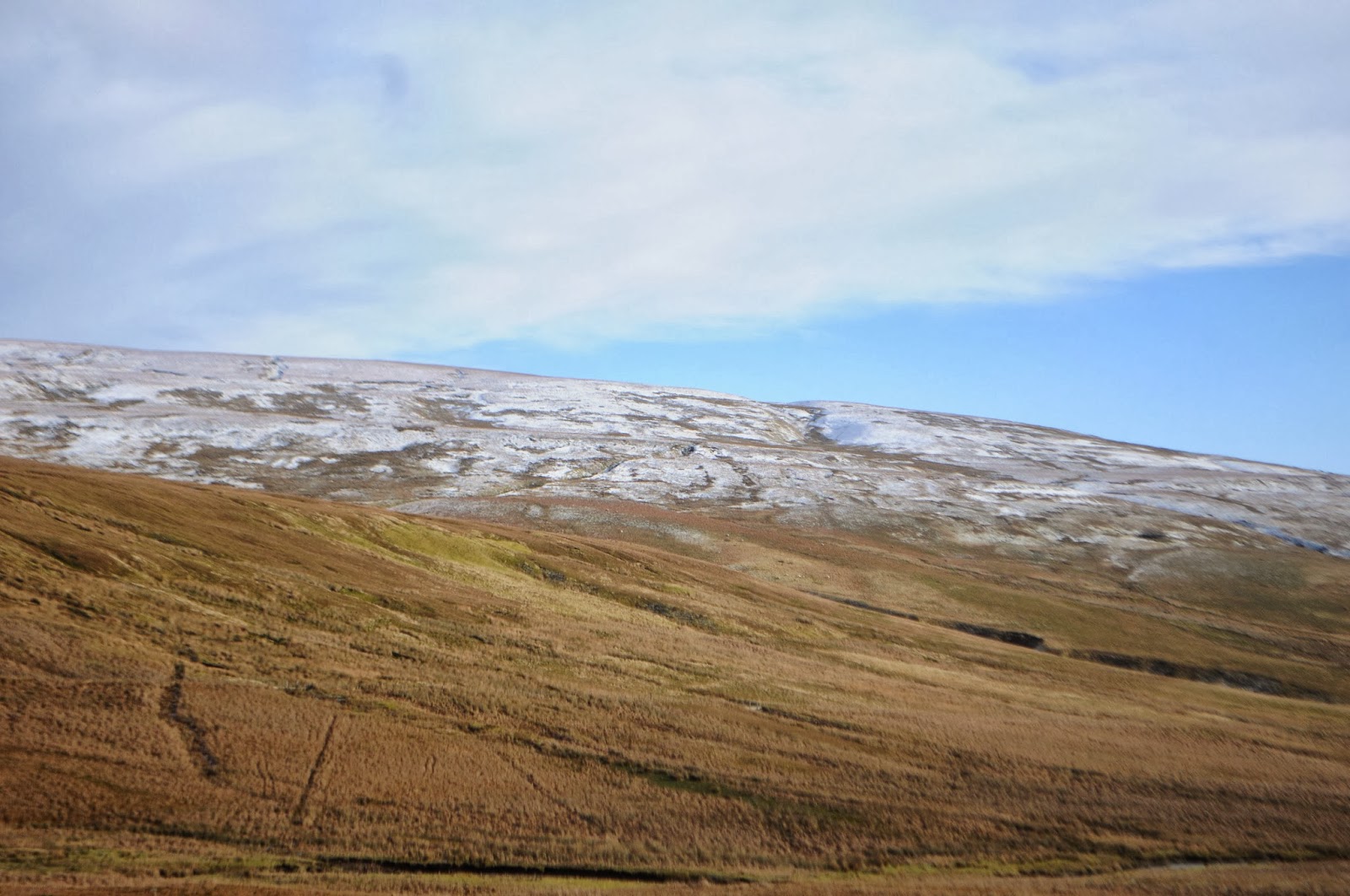 Bill's Birding: Red Grouse in the Pennines