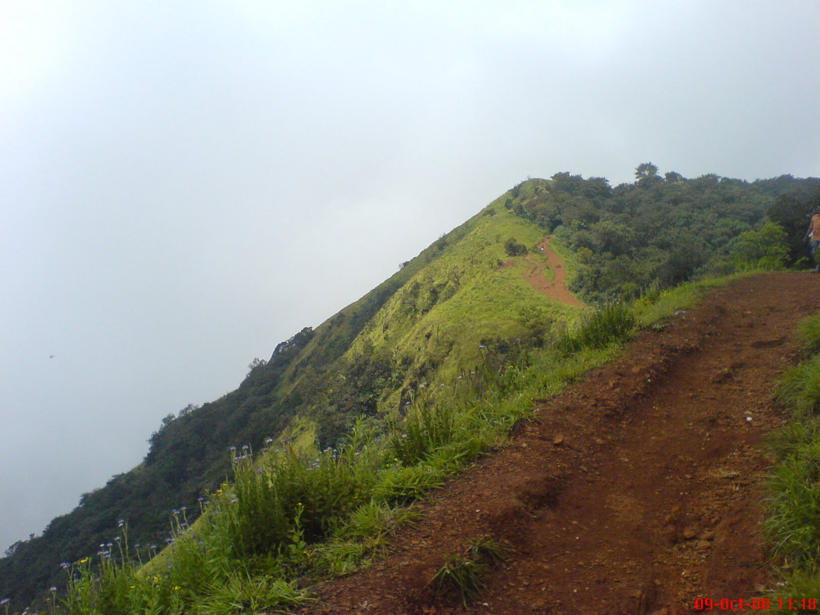 Some Thoughts: Kudajadri