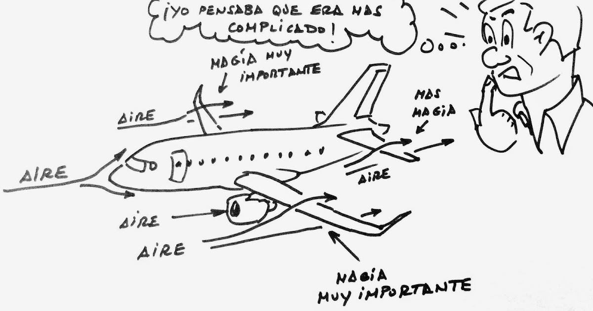 El ala, su forma y su nomenclatura