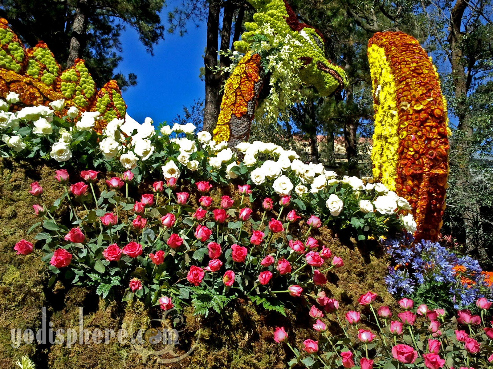 Panagbenga Flower Festival in Baguio » A Look At Our Summer In Full ...