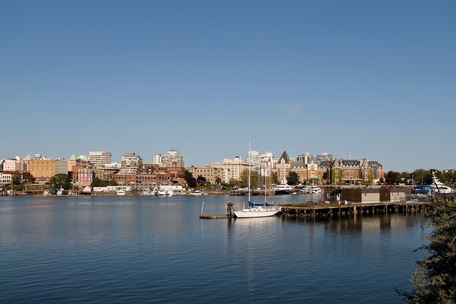 Bark and Purl: Victoria, BC