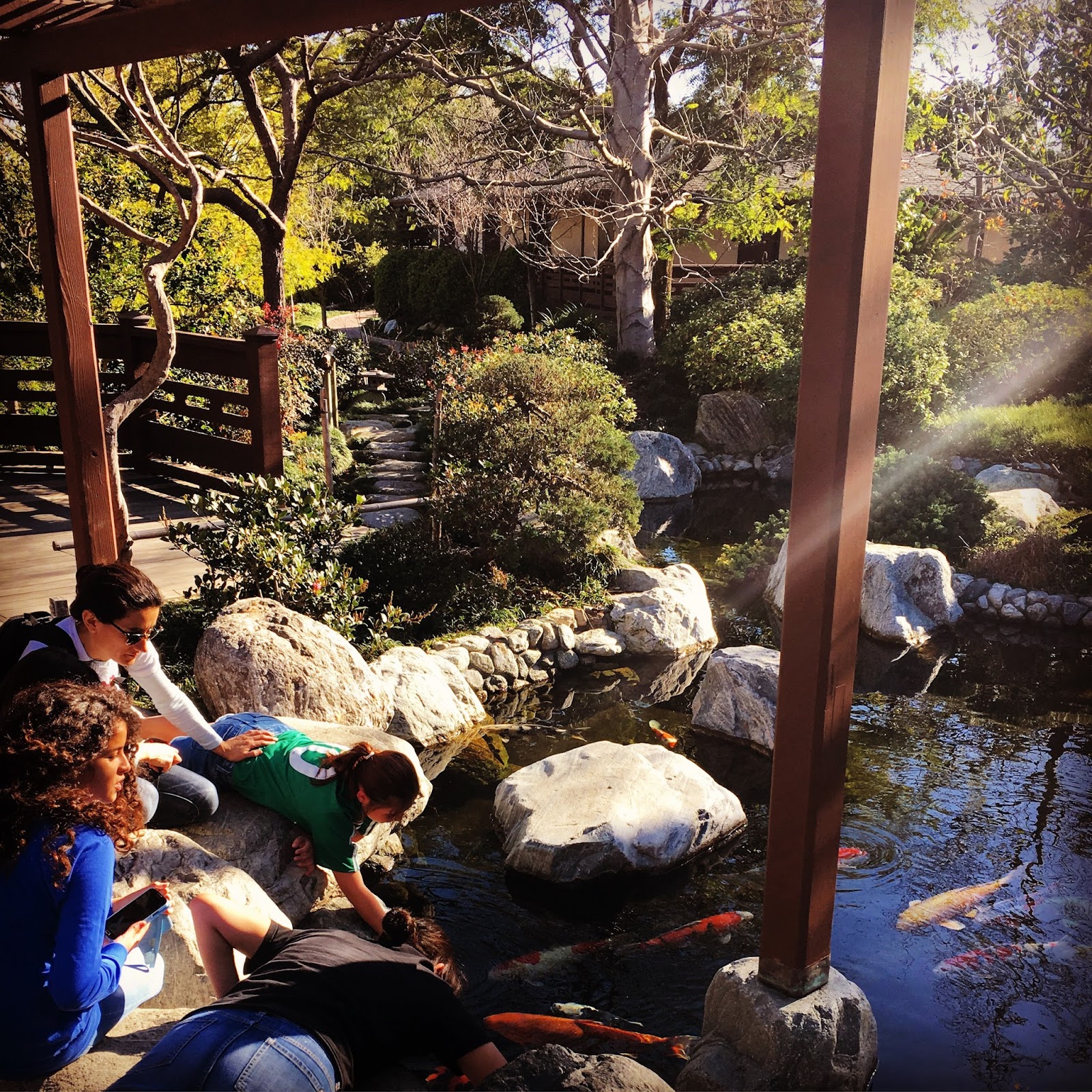Sensory Overload: Balboa Park - Japanese Friendship Garden