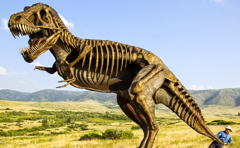 Chris Navarro Studio Blog: ''ESSENCE OF REX'' life size T Rex bronze ...