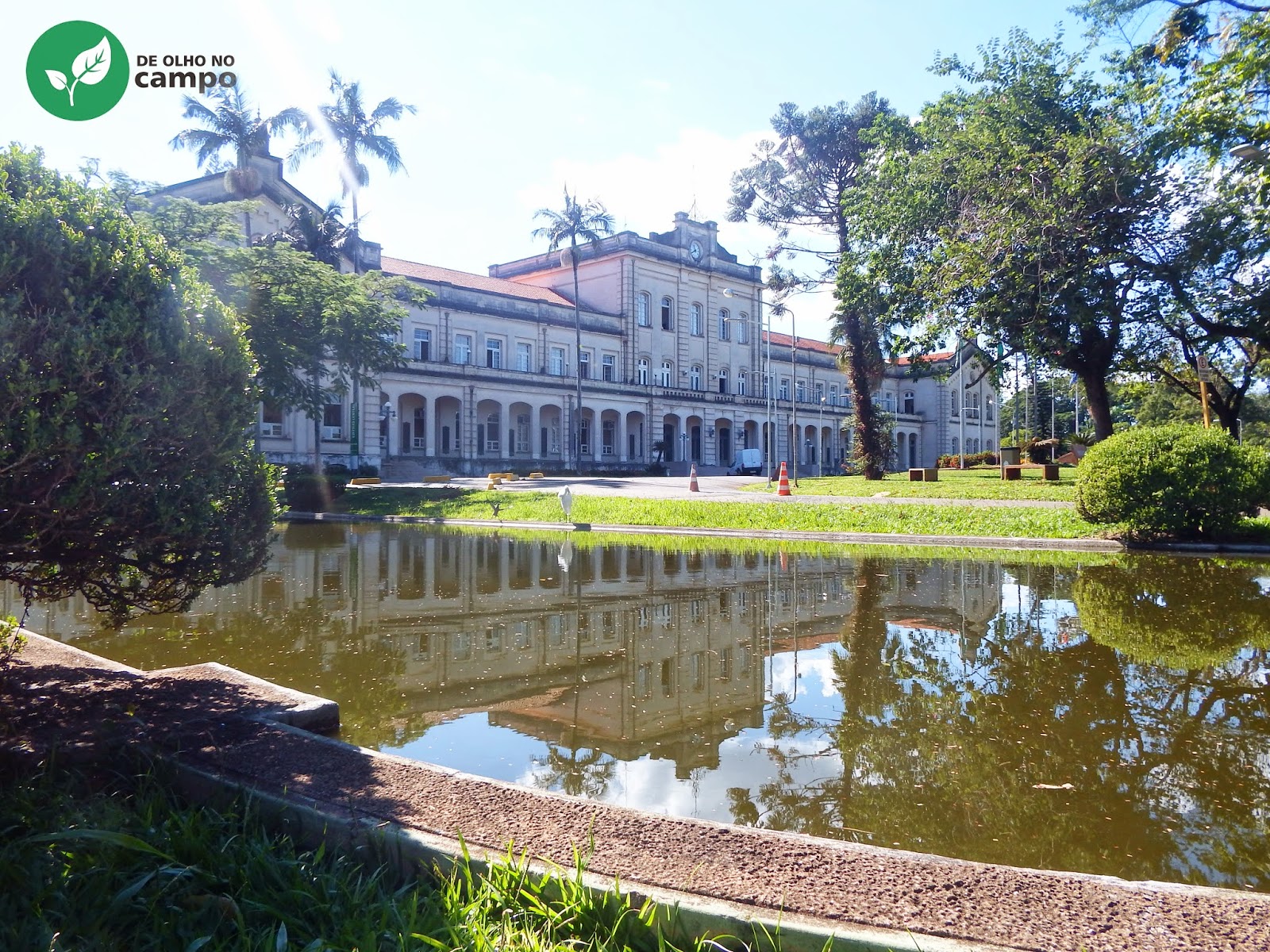 ESALQ completa 113 anos