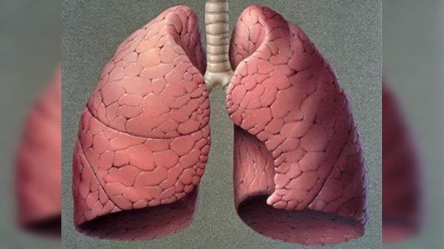 Examen del Torax y Pulmon. ~ Dr.Martinez Bonilla