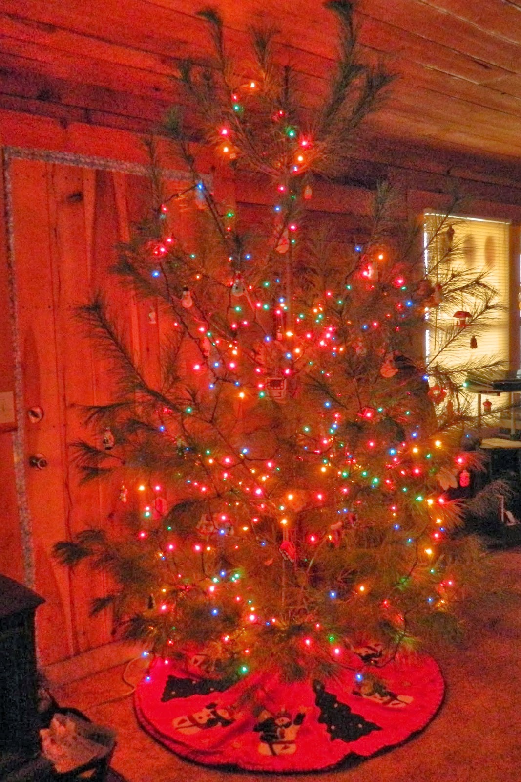 Lise's Log Cabin Life: Our Charlie Brown Christmas Tree