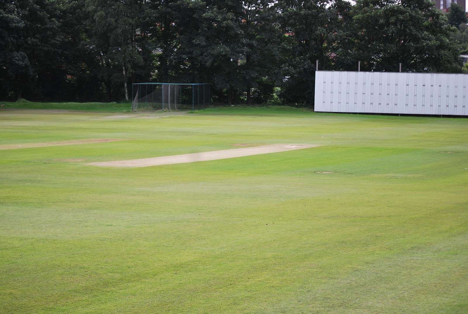 Cricket Club Groundsman's Trials and Tribulations: A Delivery to New Rover