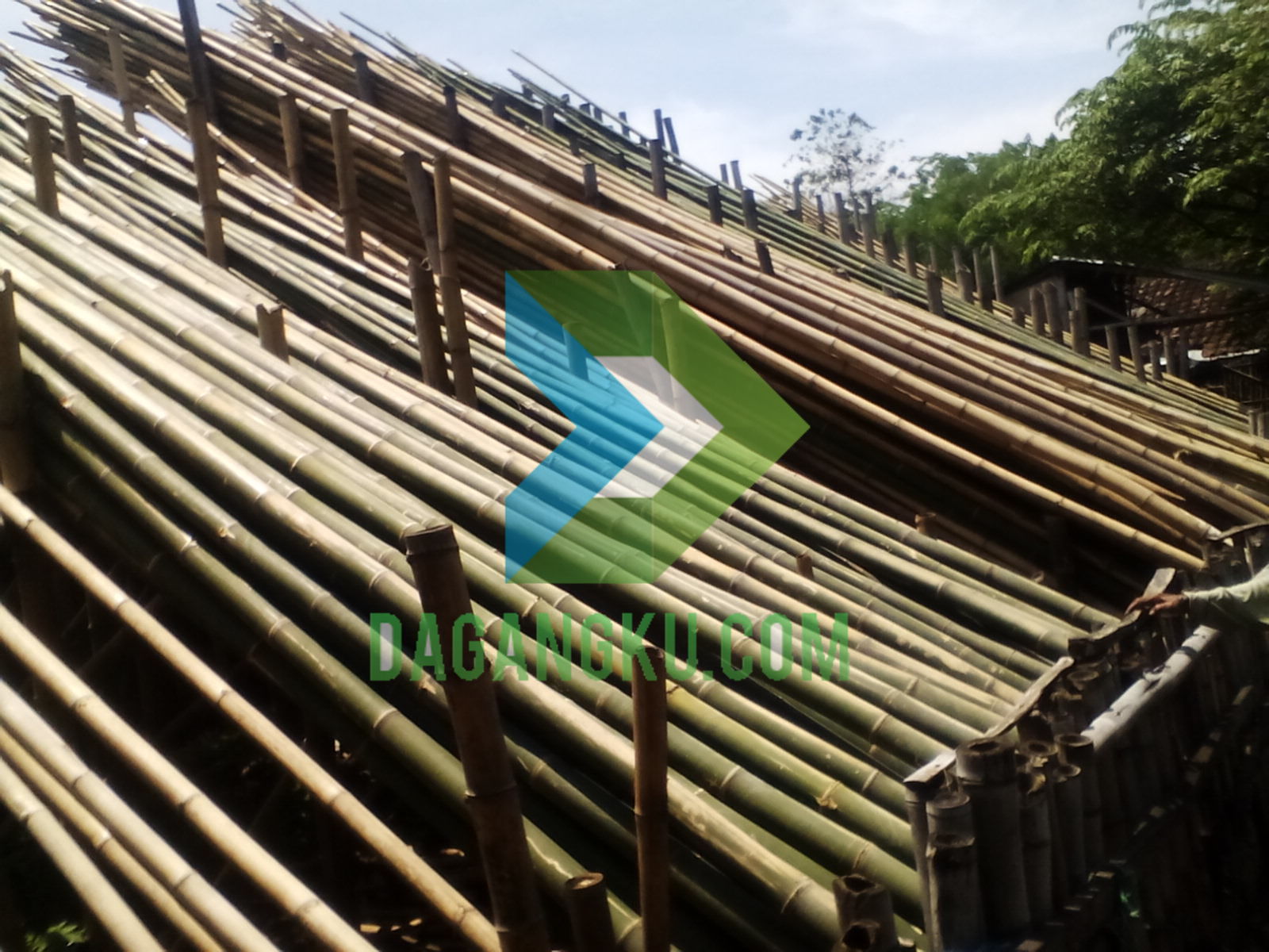Jual Bambu Apus Area Solo Sragen Murah !!! (Supplier) | JUAL|BELI|BAMBU ...
